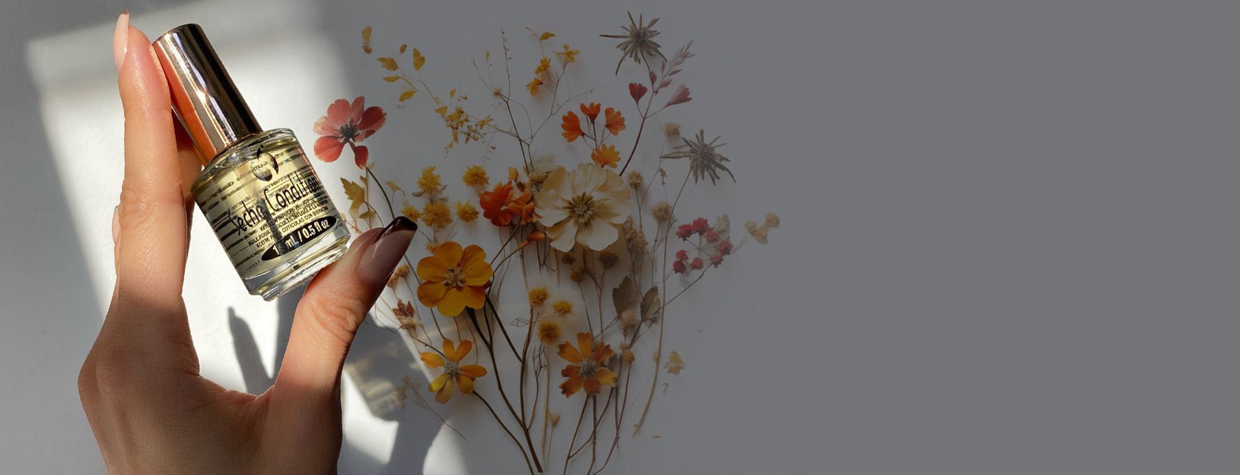 Seche | The World's Best Top Coat