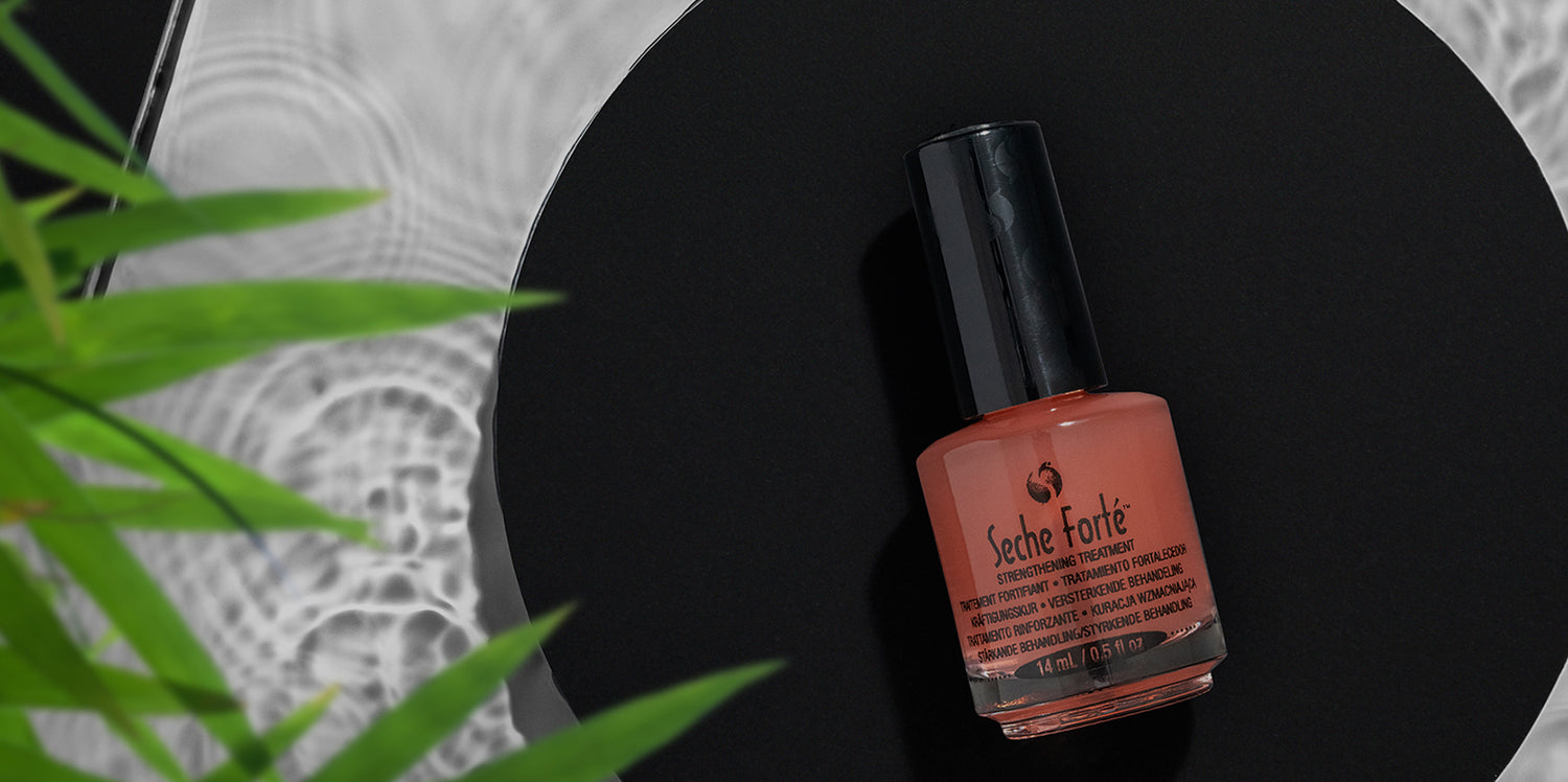 Seche | The World's Best Top Coat